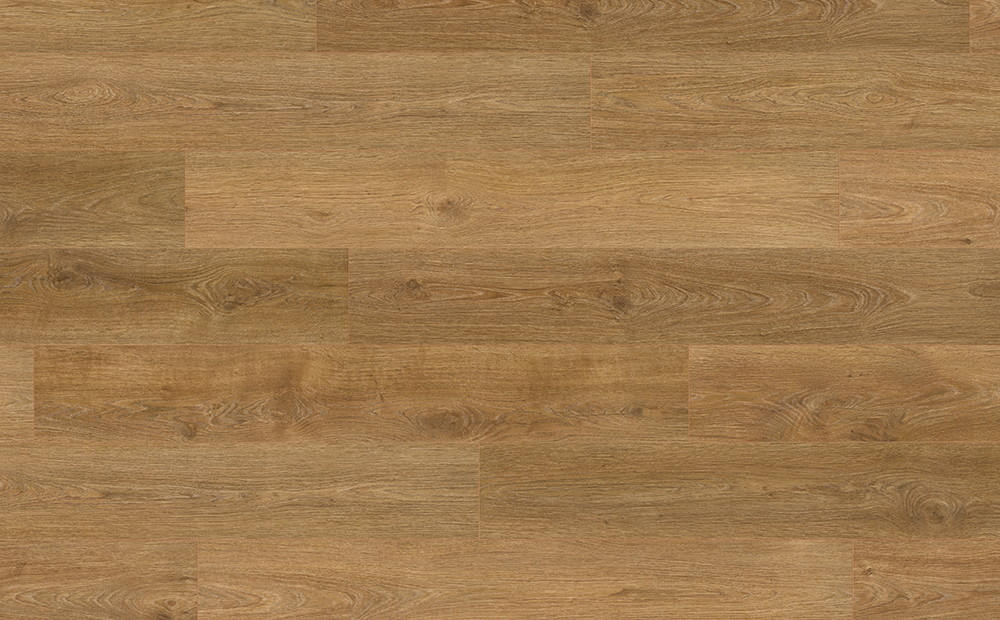 Irmãos Ferreira - Leiria